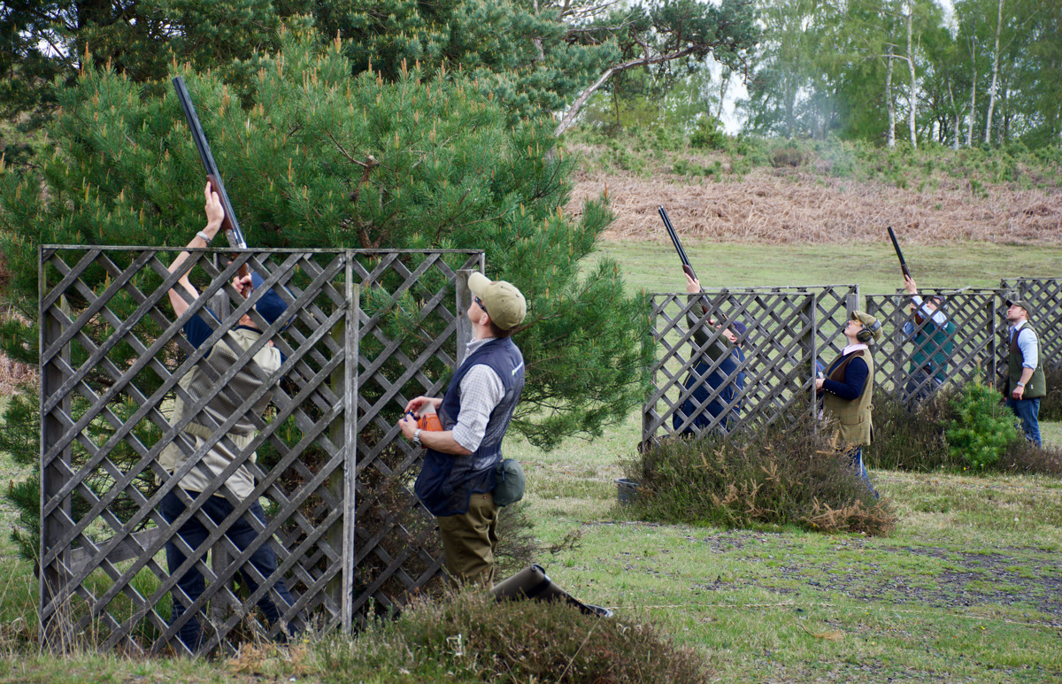 Game Shooting Introduction