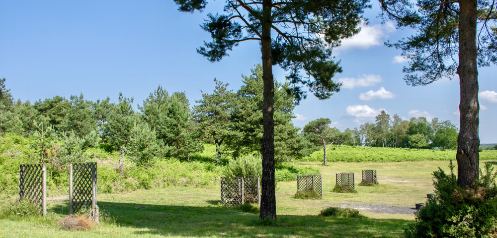 'What's On' at Bisley Shooting Ground Bisley