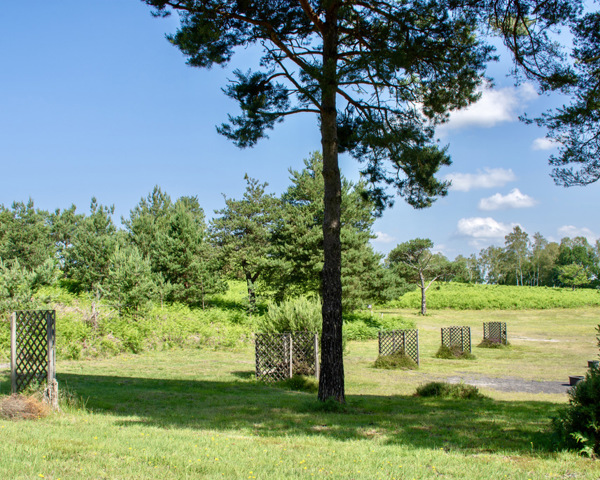 Mason Mount & Peter Crouch come Clay Shooting!